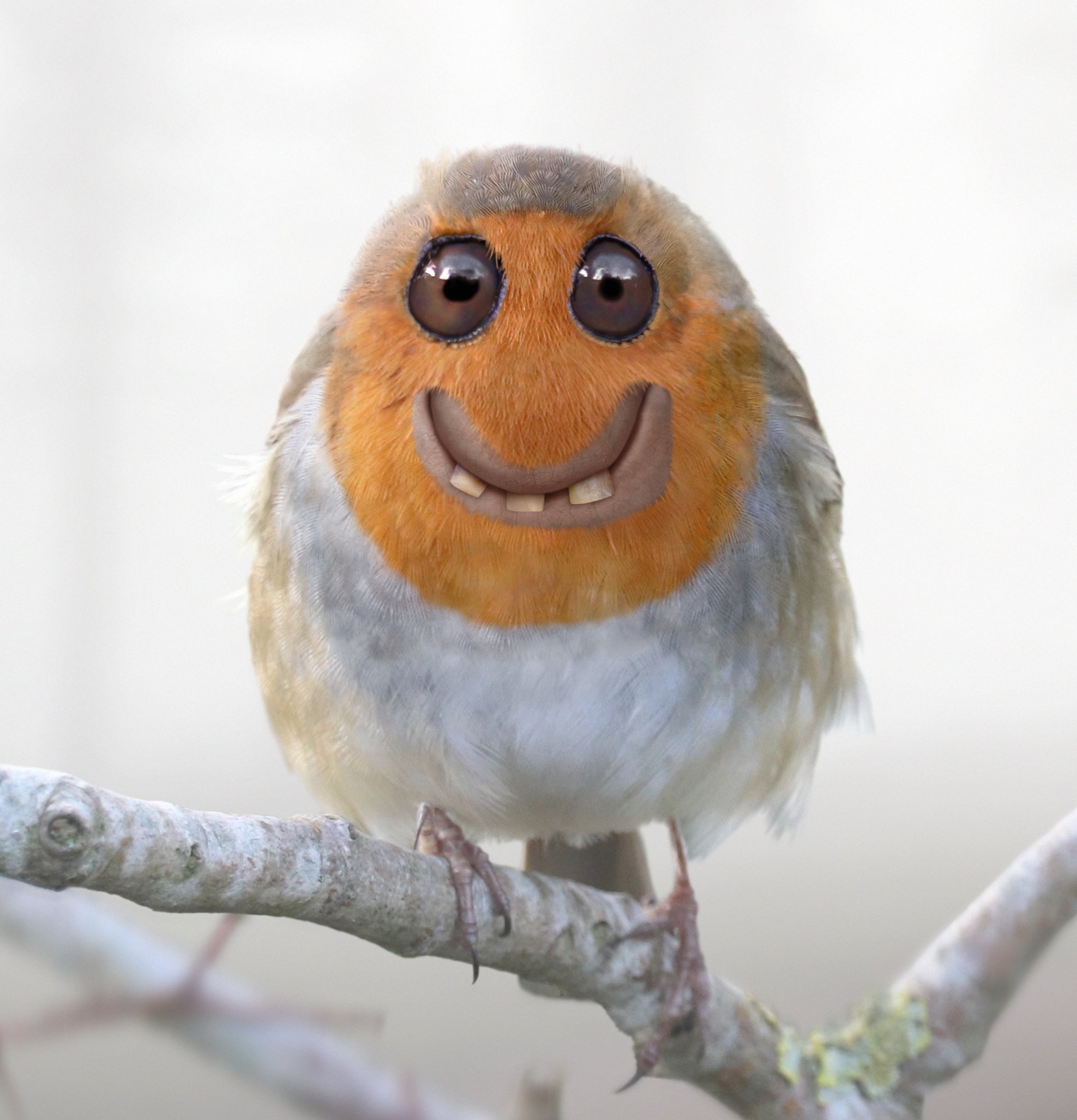 Stowe Gallery – STOWE GALLERY